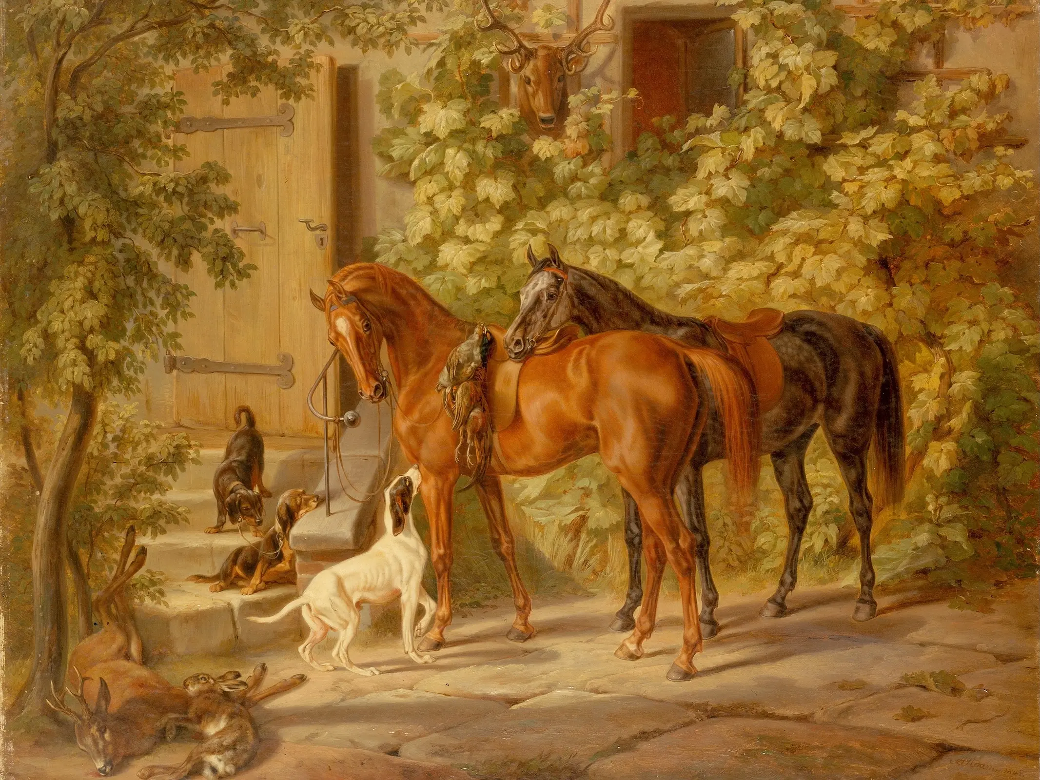 Argamak Horse - Horse Breeds