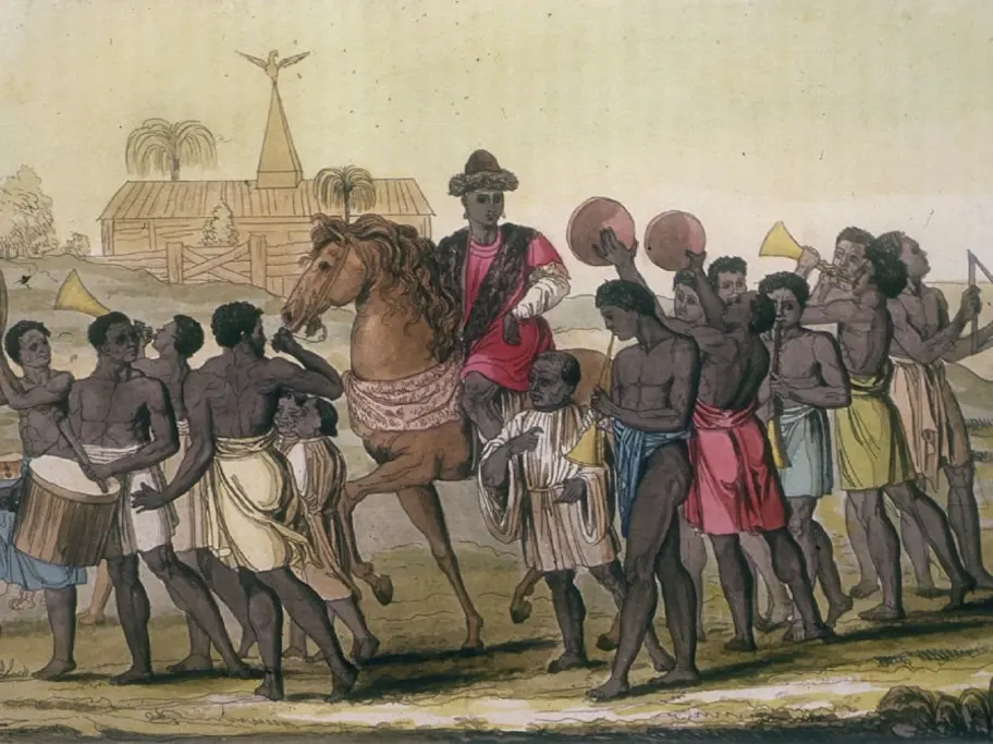 Berba Horse - Horse Breeds