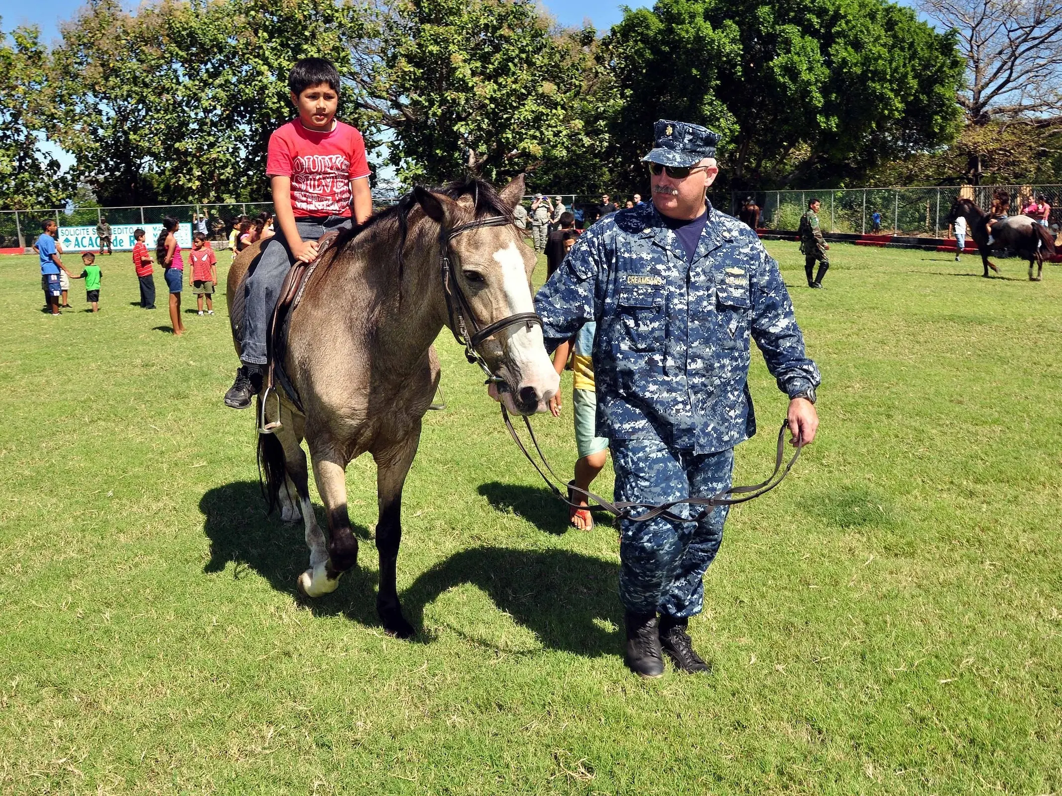 El Salvadorian Criollo - Horse Breeds