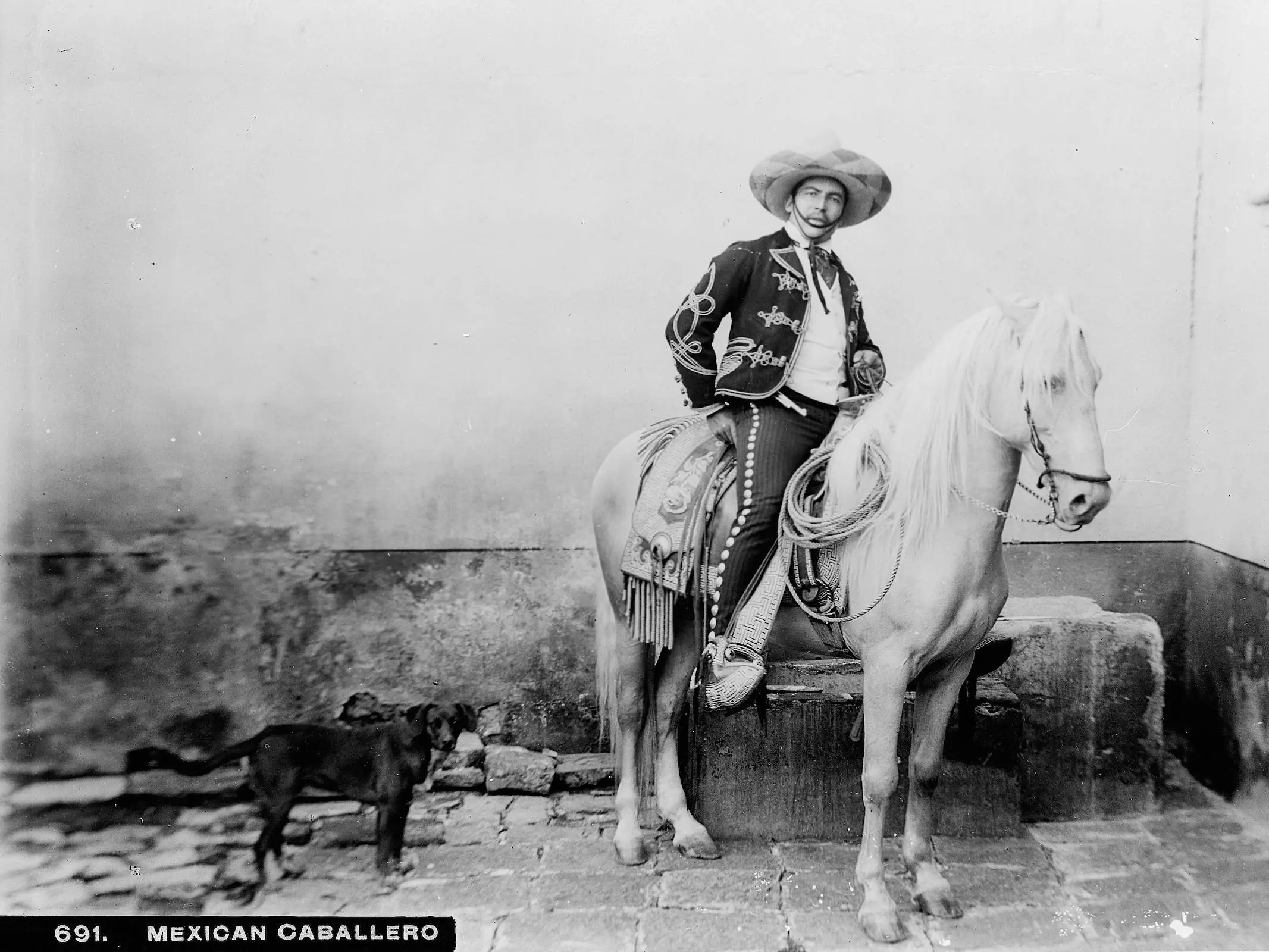 Galiceño Pony - Horse Breeds