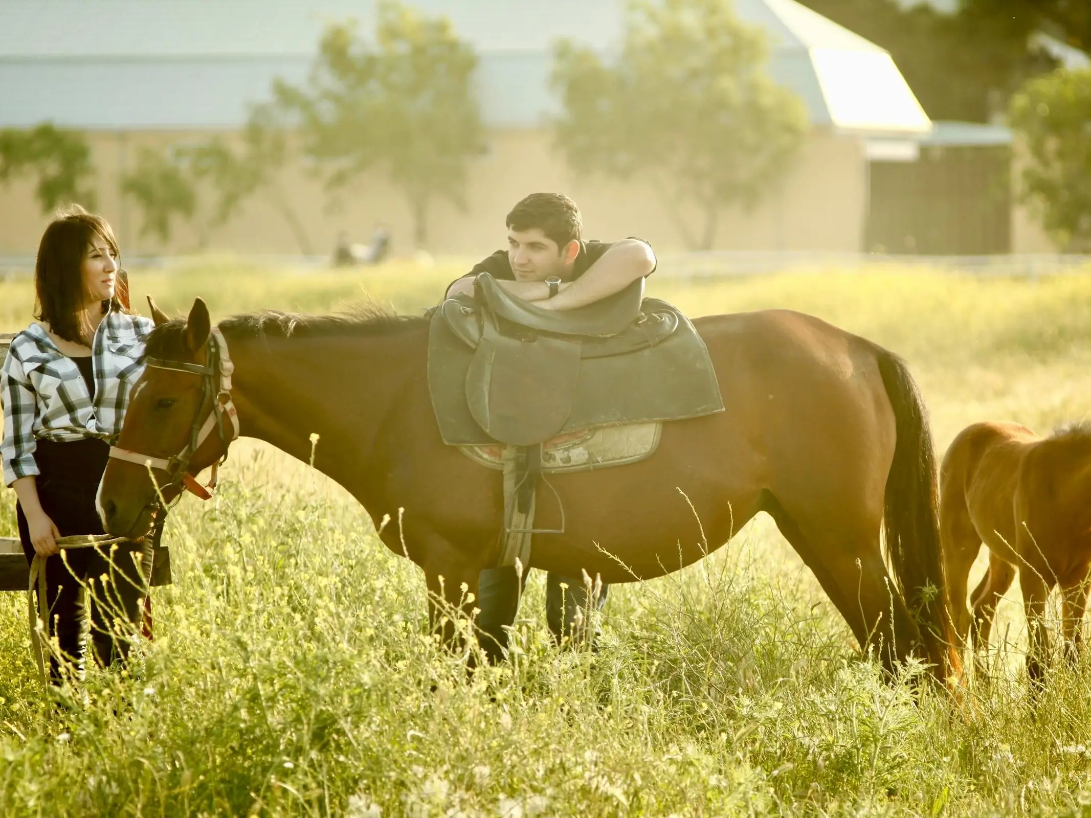 Guba Horse - Horse Breeds