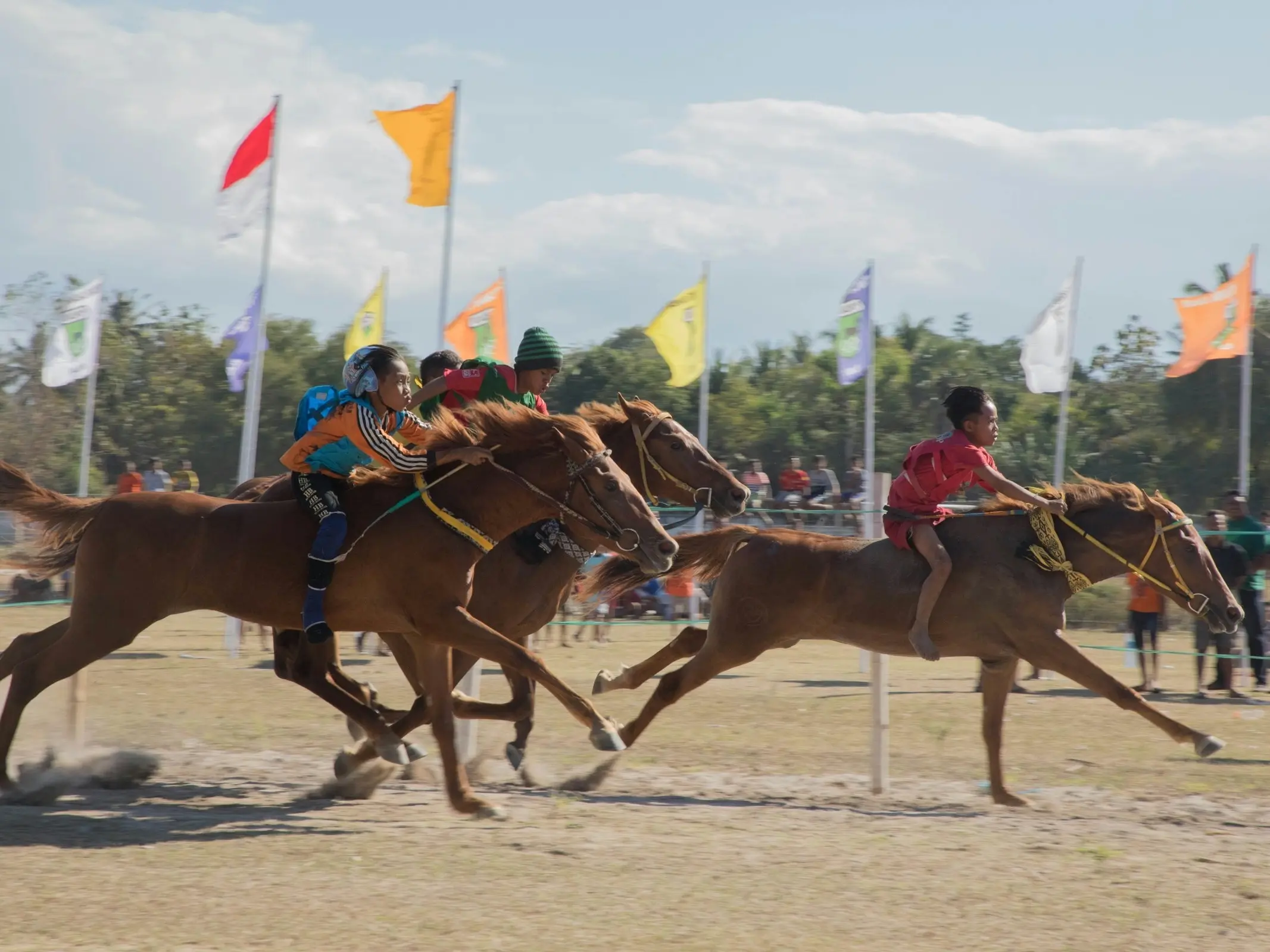 Indonesian Race Horse - Horse Breeds