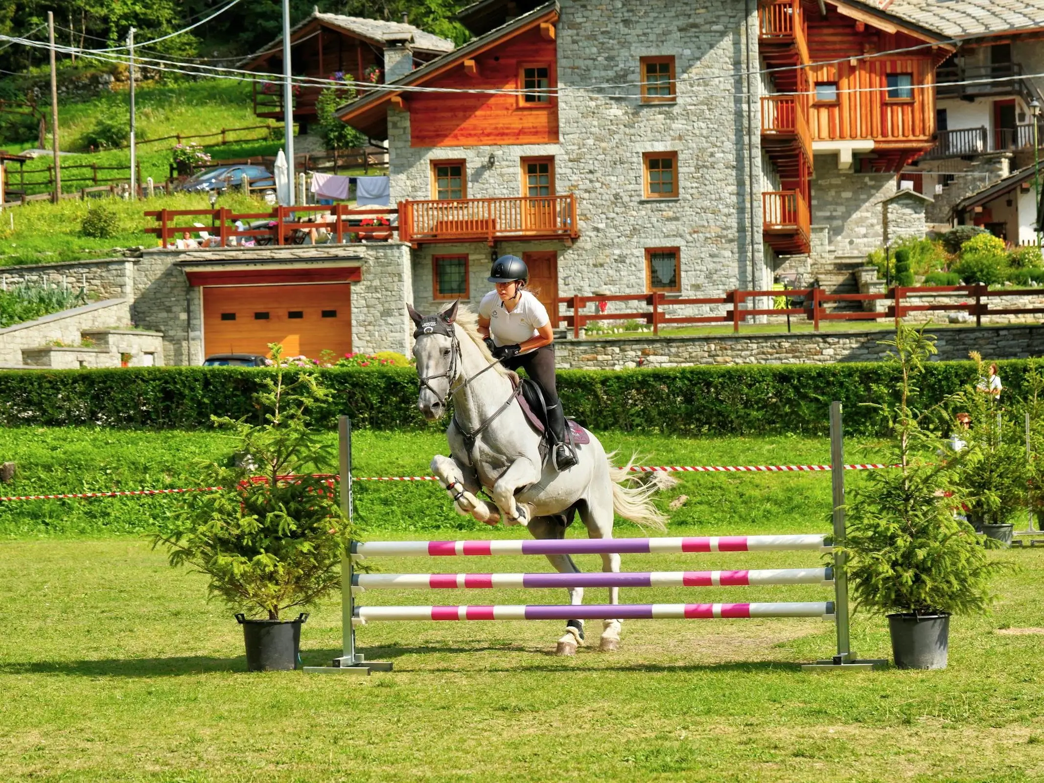 Italian Saddle Horse - Horse Breeds