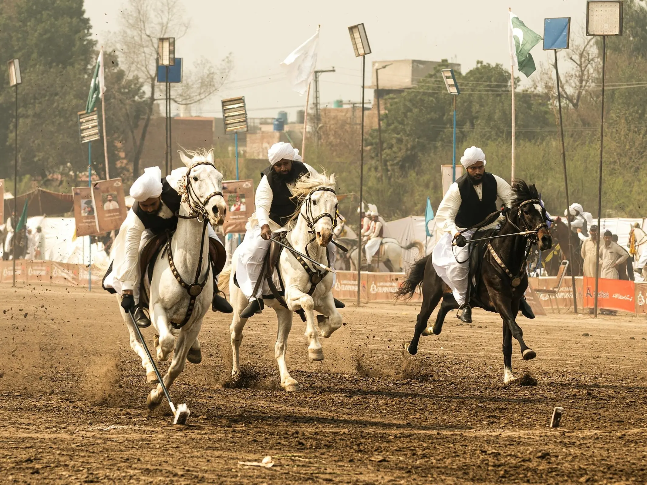 Kakka Baral Wala Horse - Horse Breeds