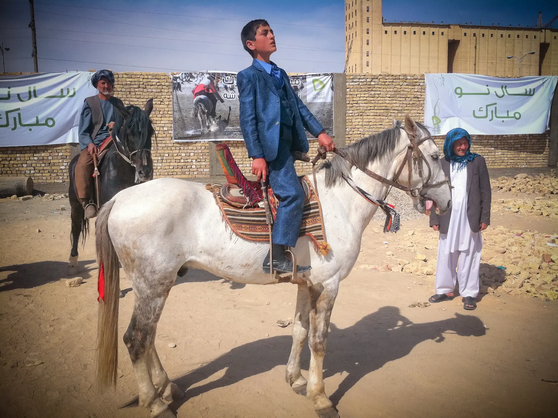 Mazari Horse - Horse Breeds