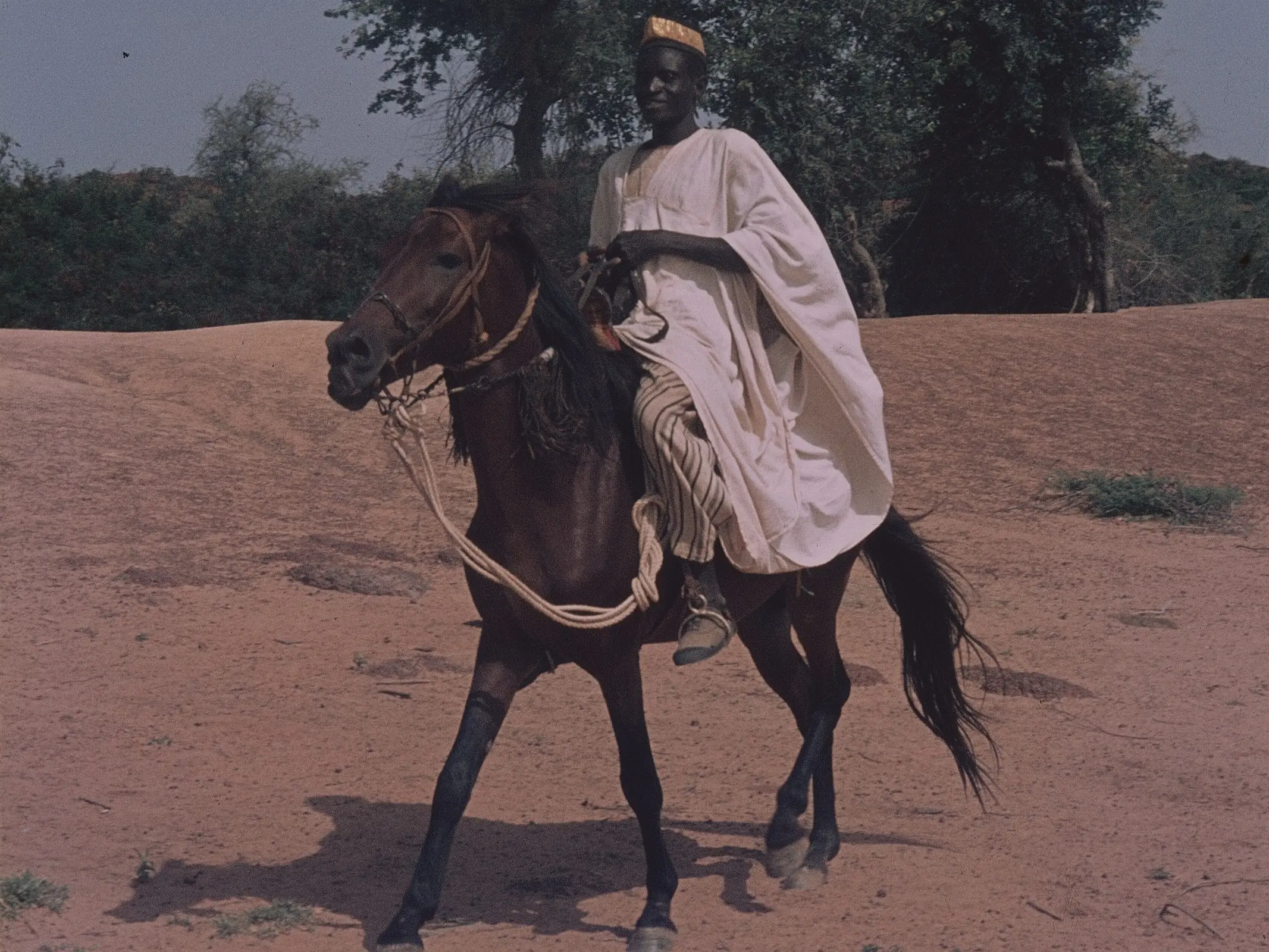 Mossi Horse - Horse Breeds