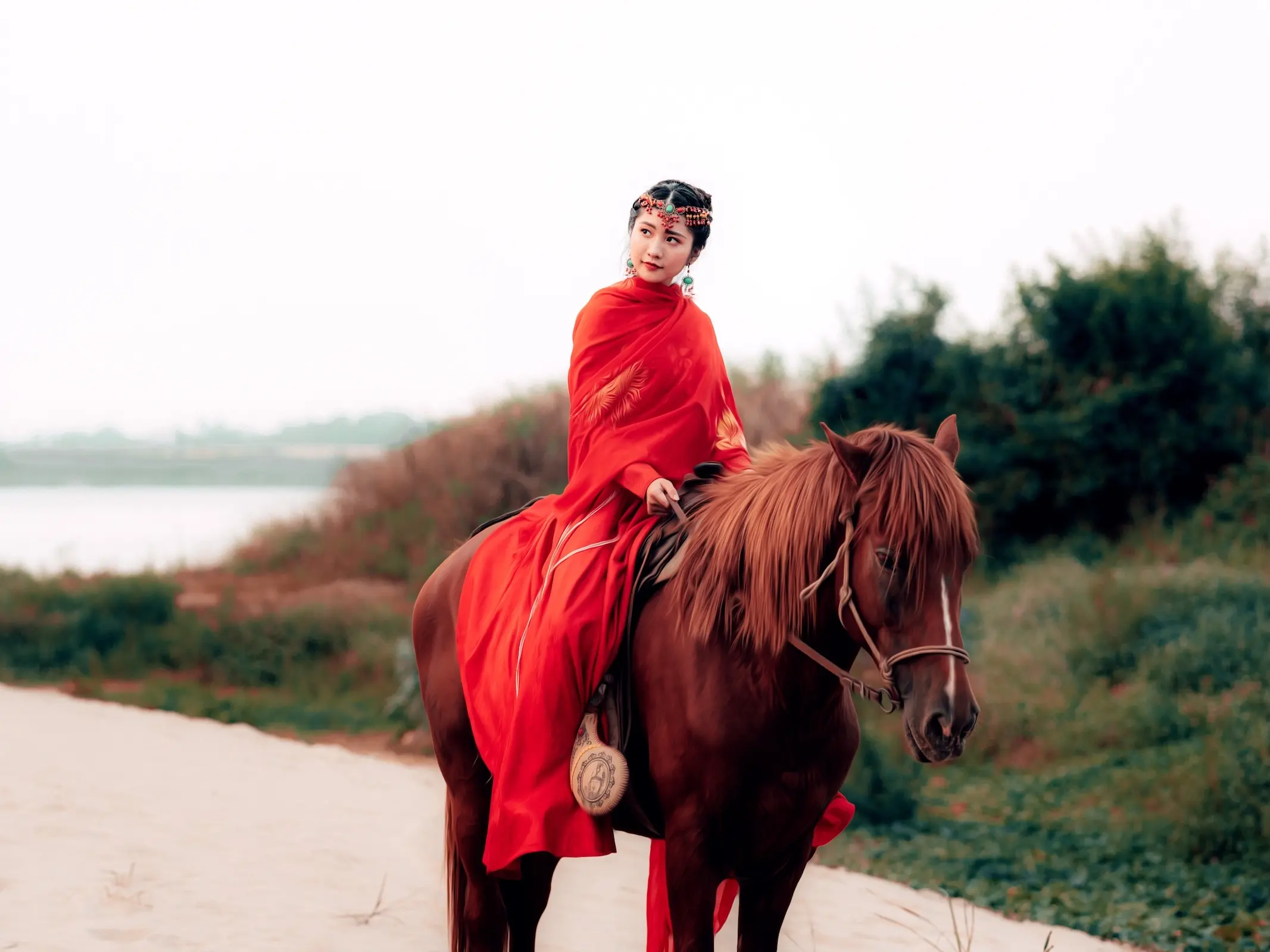 Ngua Noi Horse - Horse Breeds