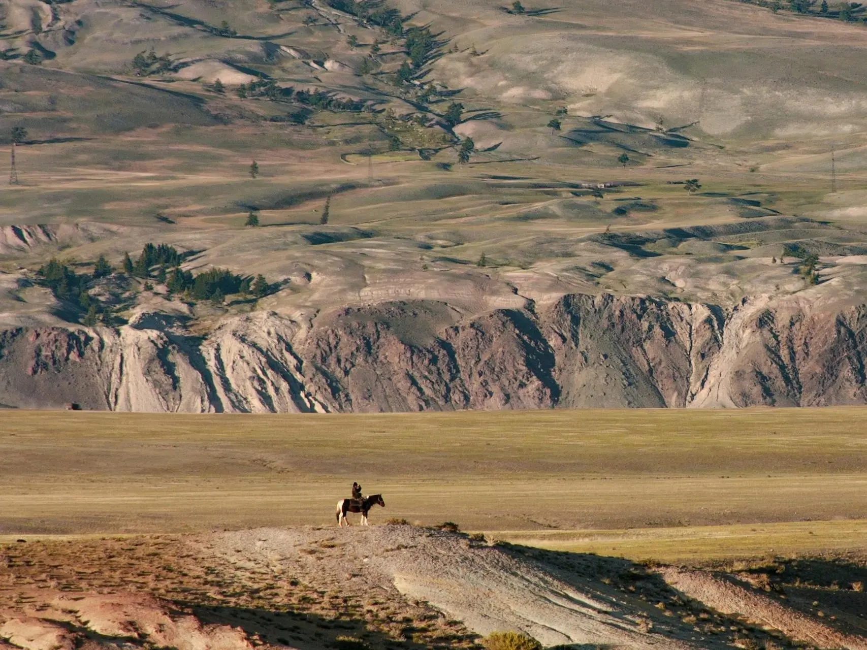 Nogai Horse - Horse Breeds