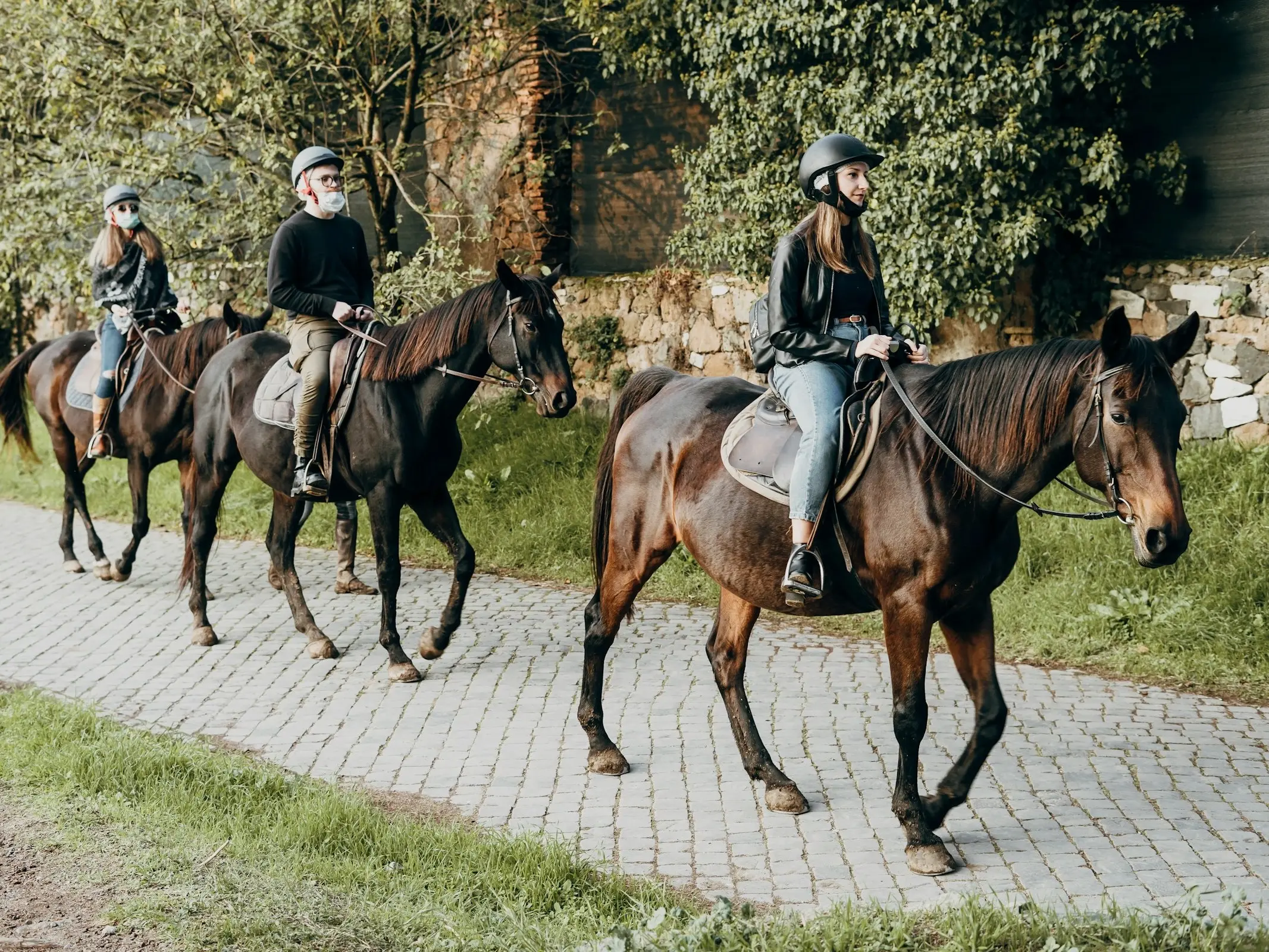 Persano Horse - Horse Breeds