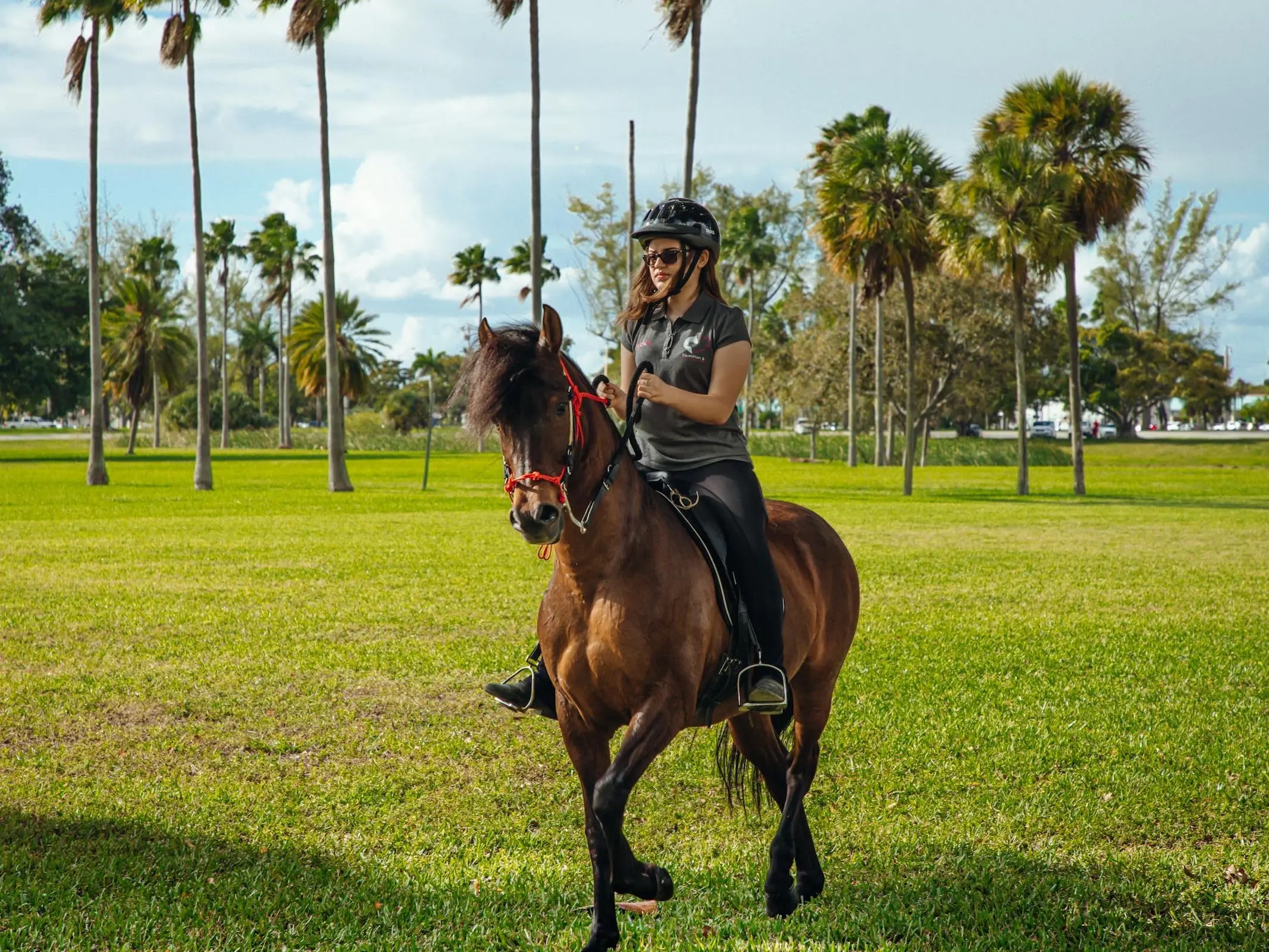 Racking Horse - Horse Breeds
