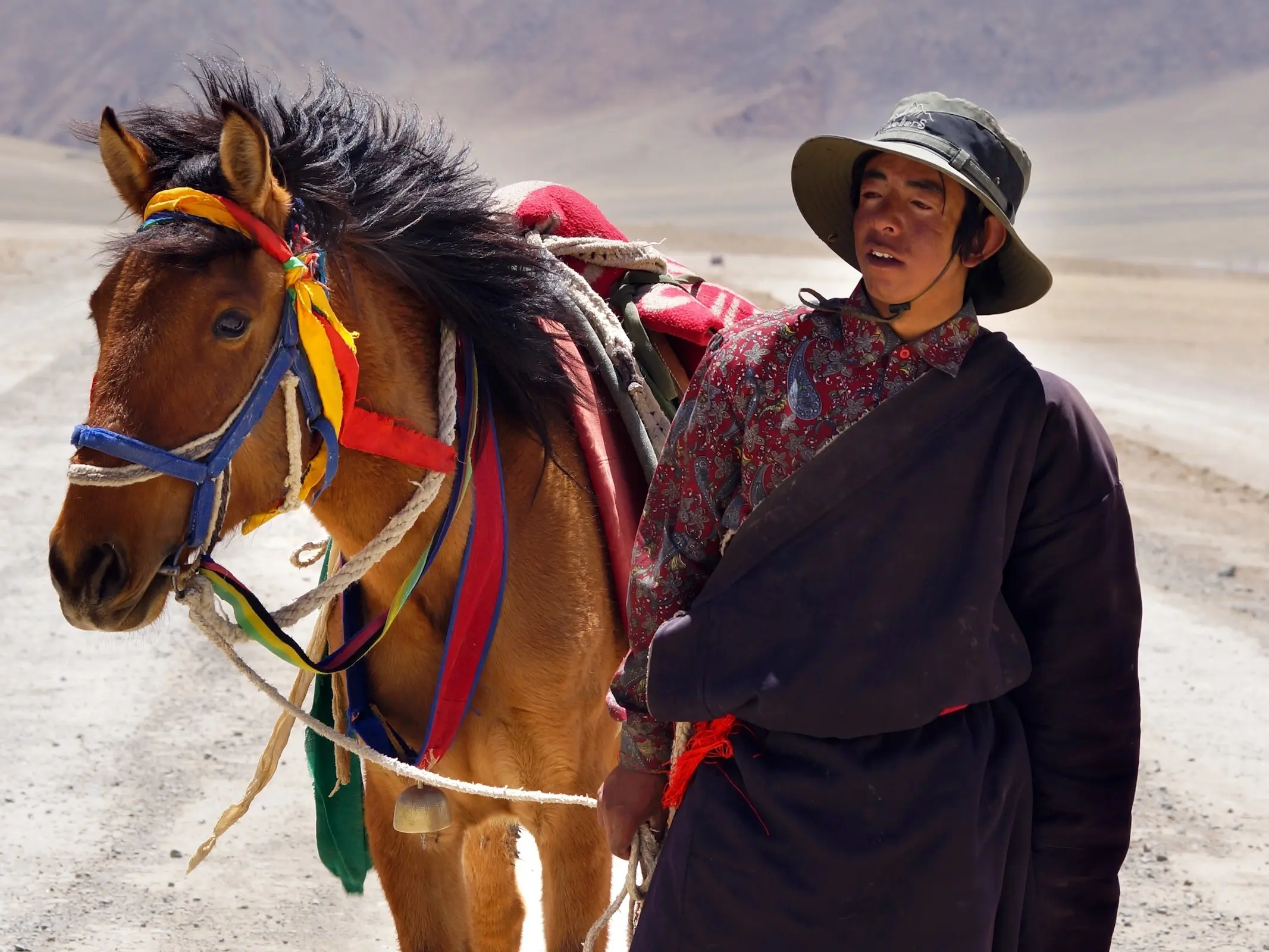 Riwoche Pony - Horse Breeds