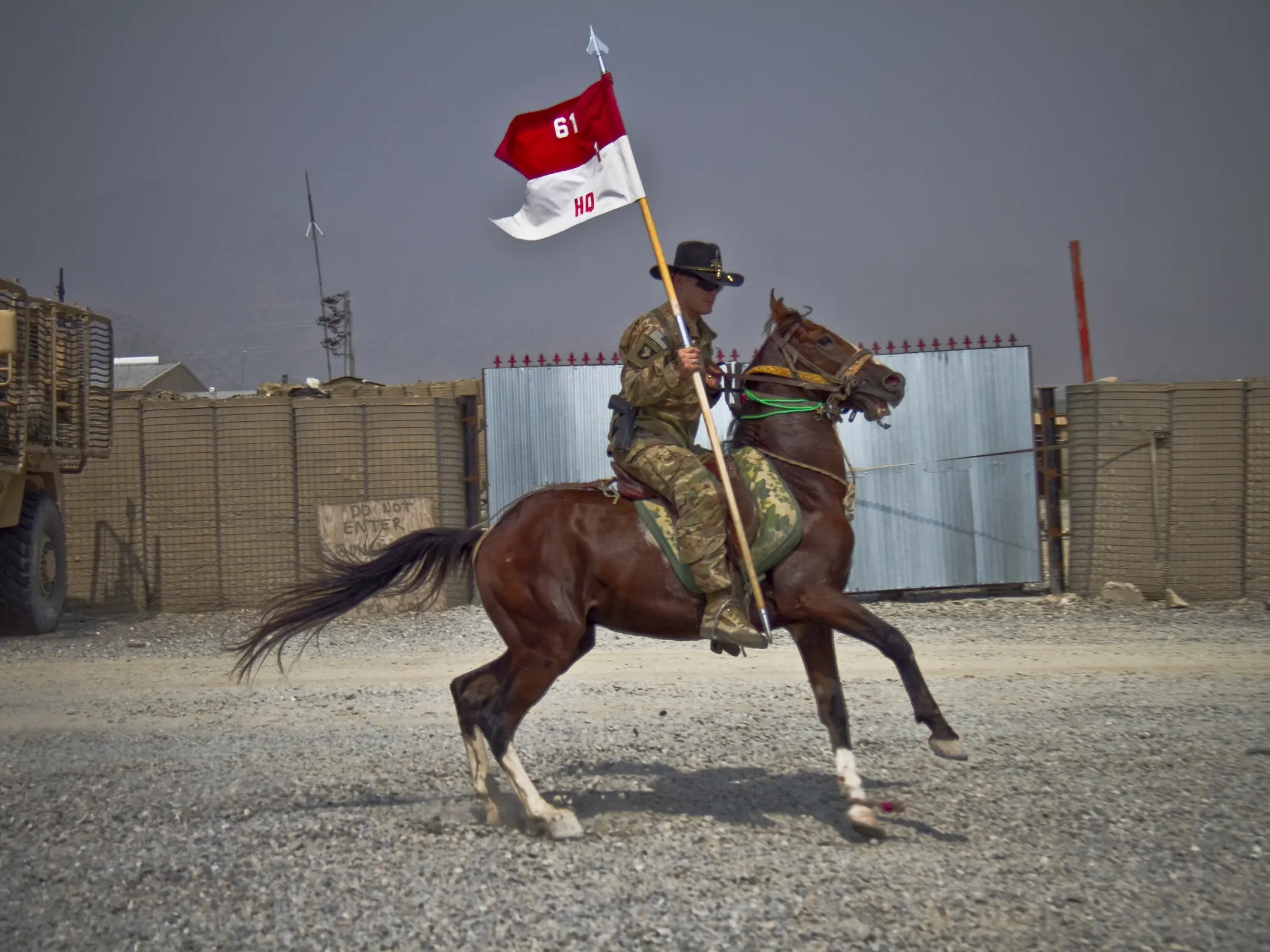 Samand Horse - Horse Breeds