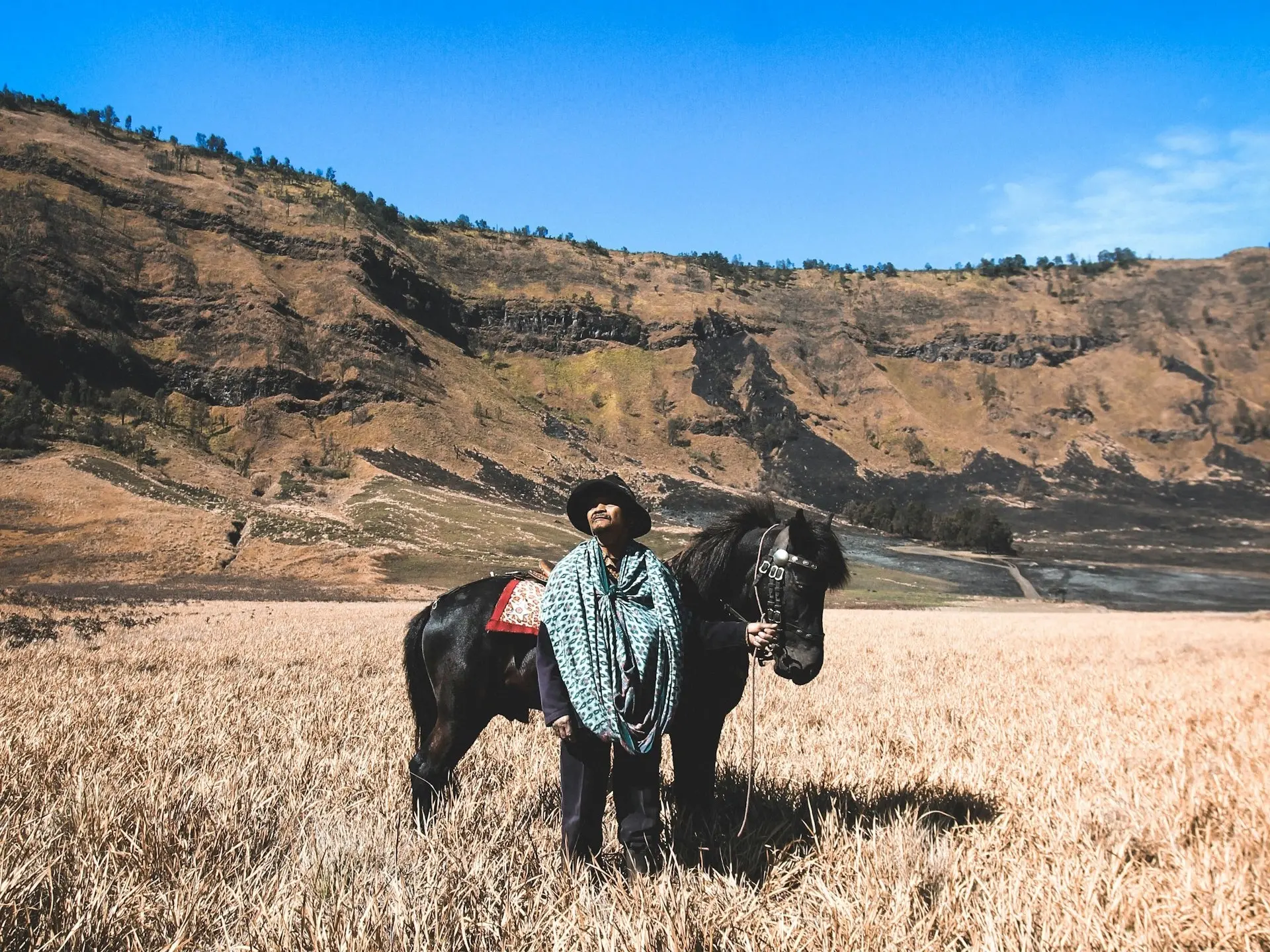 Timor Pony - Horse Breeds