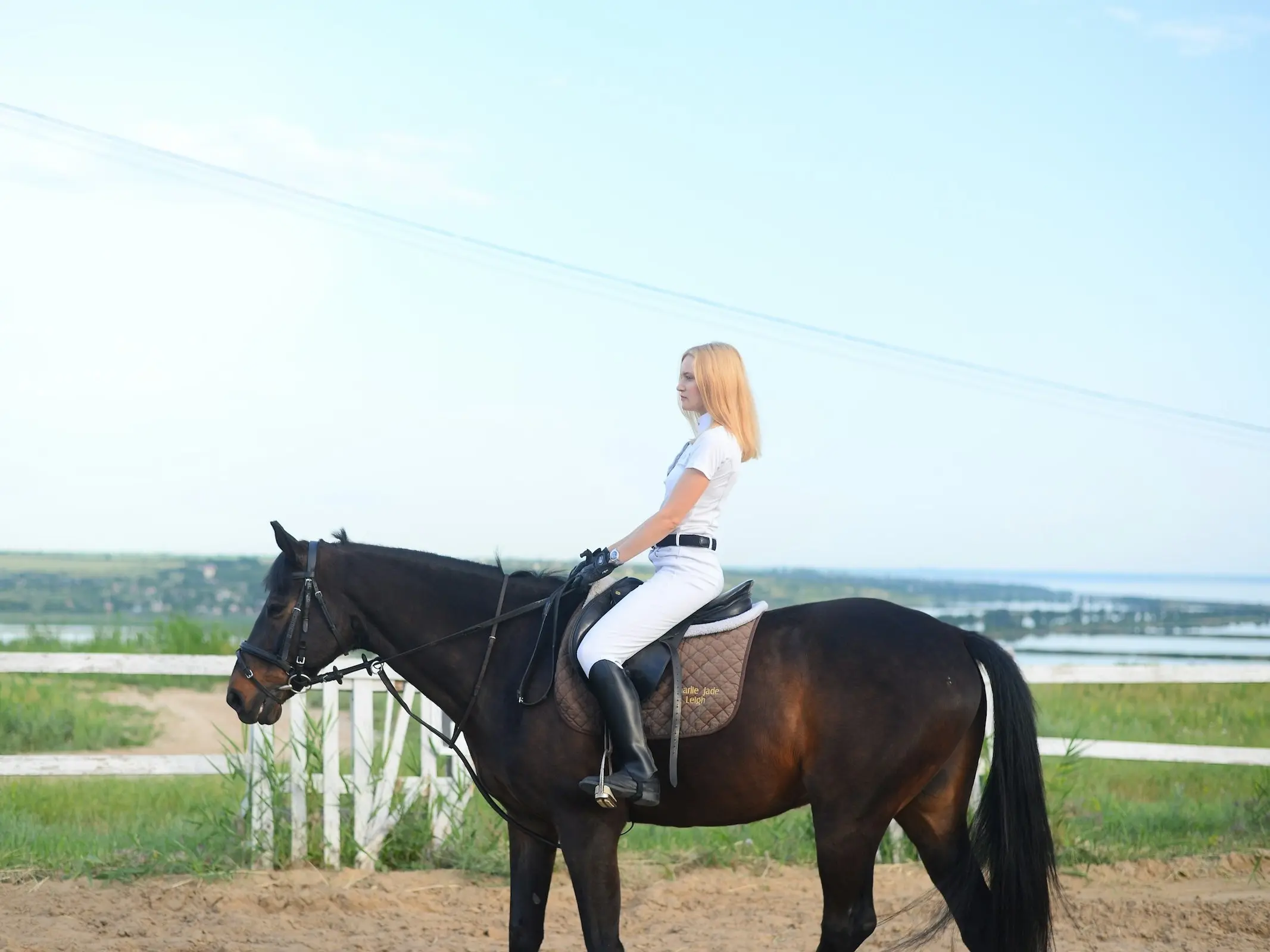 Ukrainian Saddle Horse - Horse Breeds