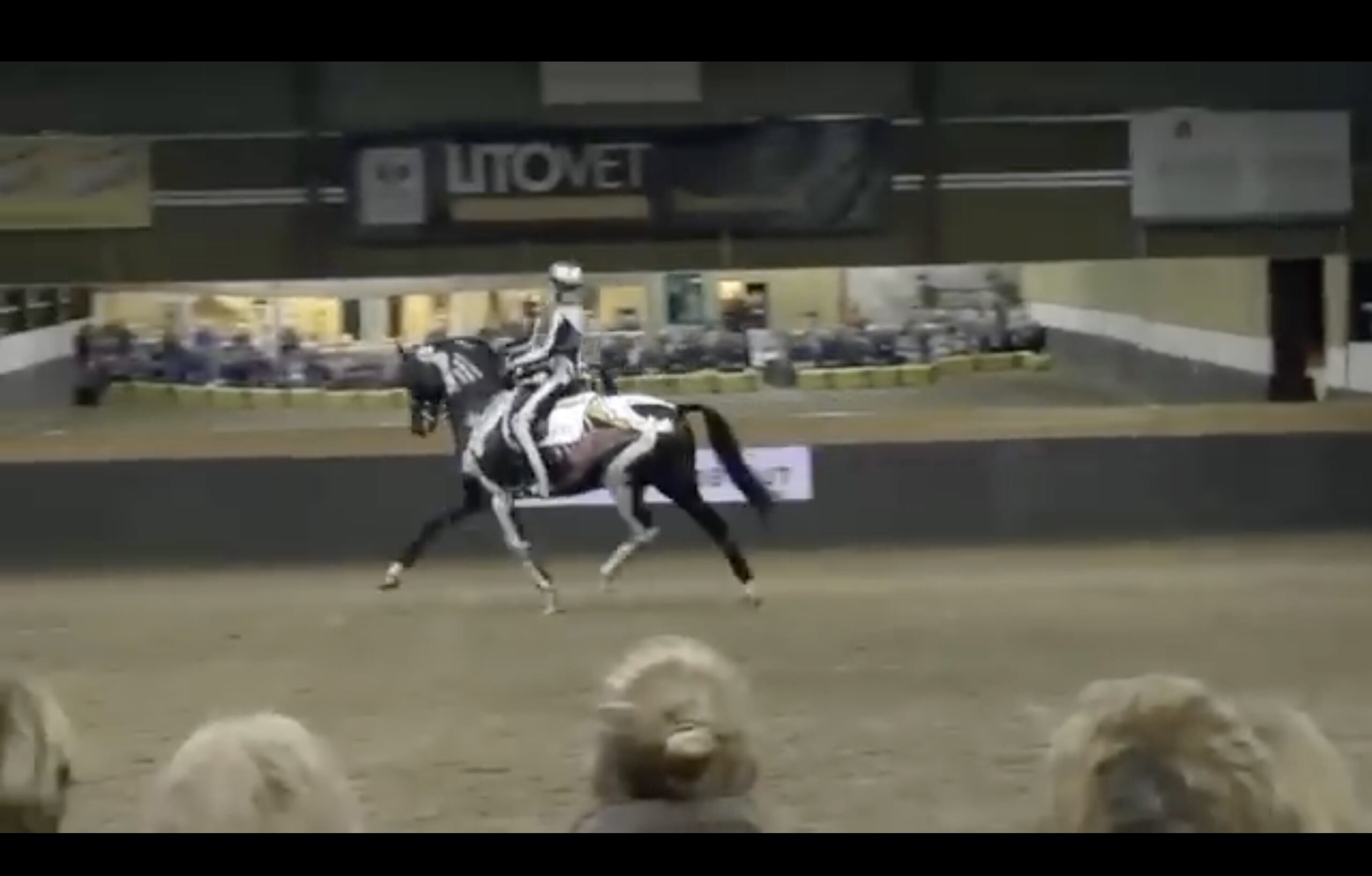 Advanced Dressage to Music – Skeleton Style | The Equinest