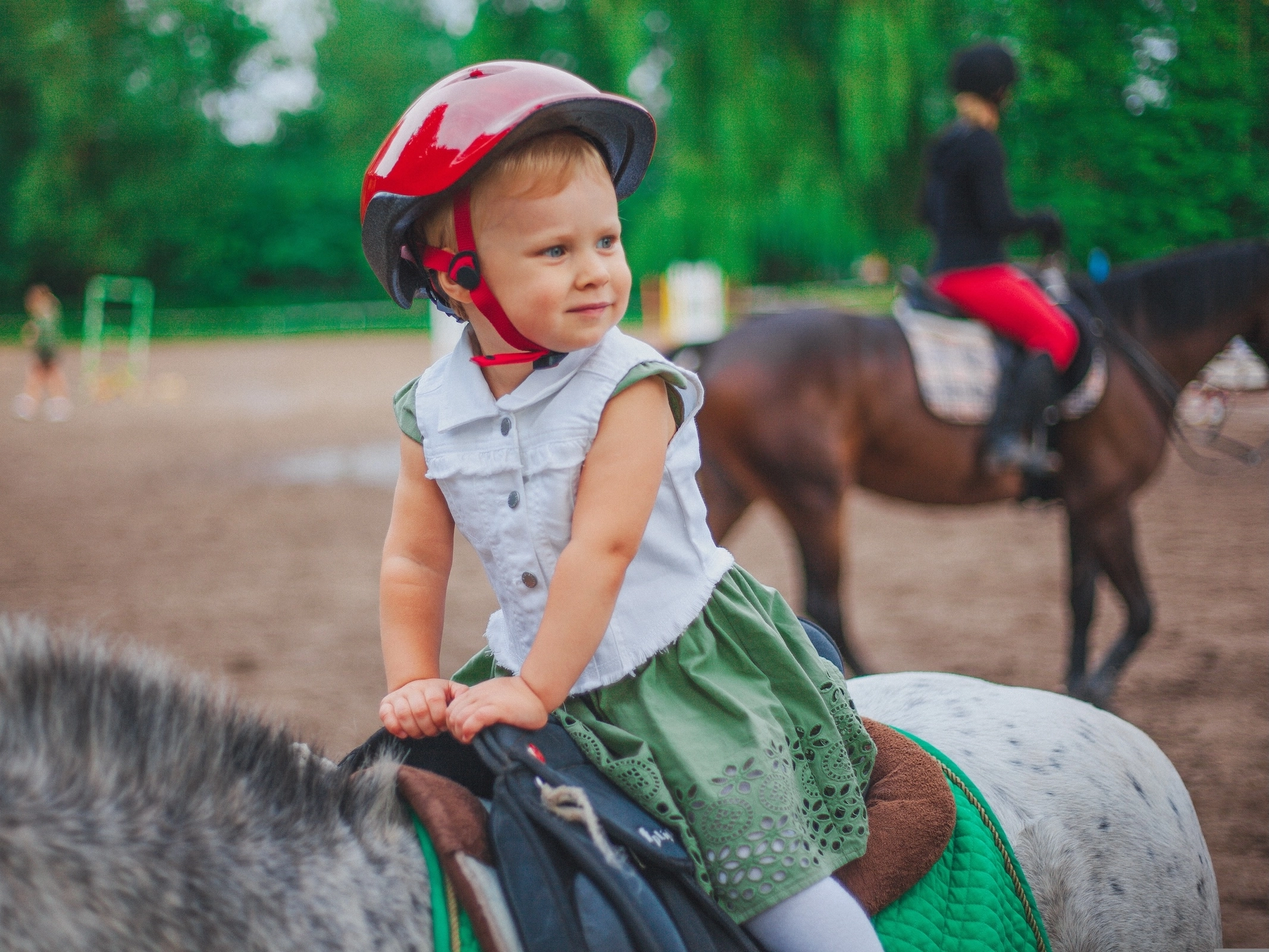 The Basics of Horseback Riding for Beginners - The Equinest